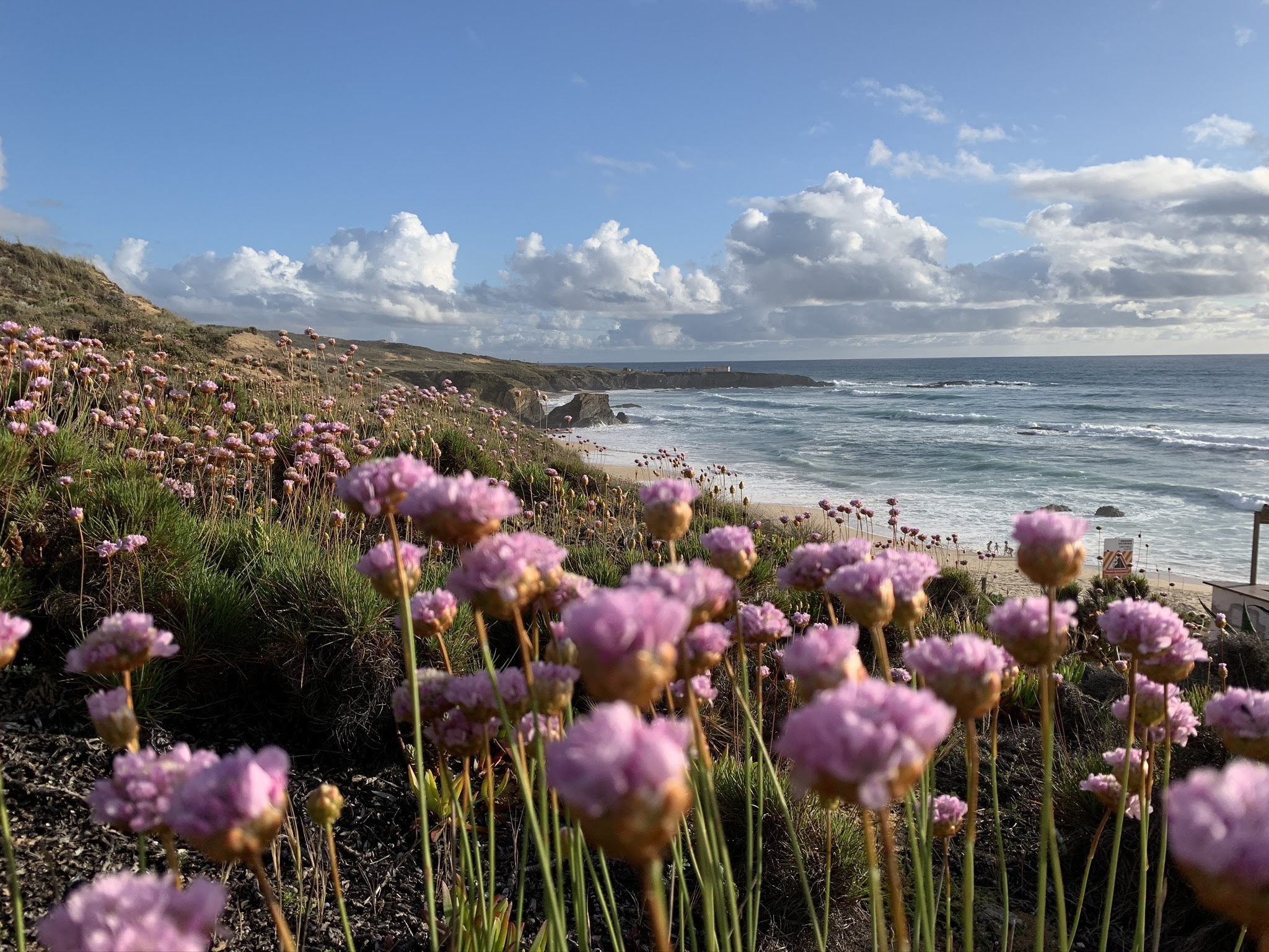 Primavera a todo color en el Alentejo: cinco lugares para los amantes ...