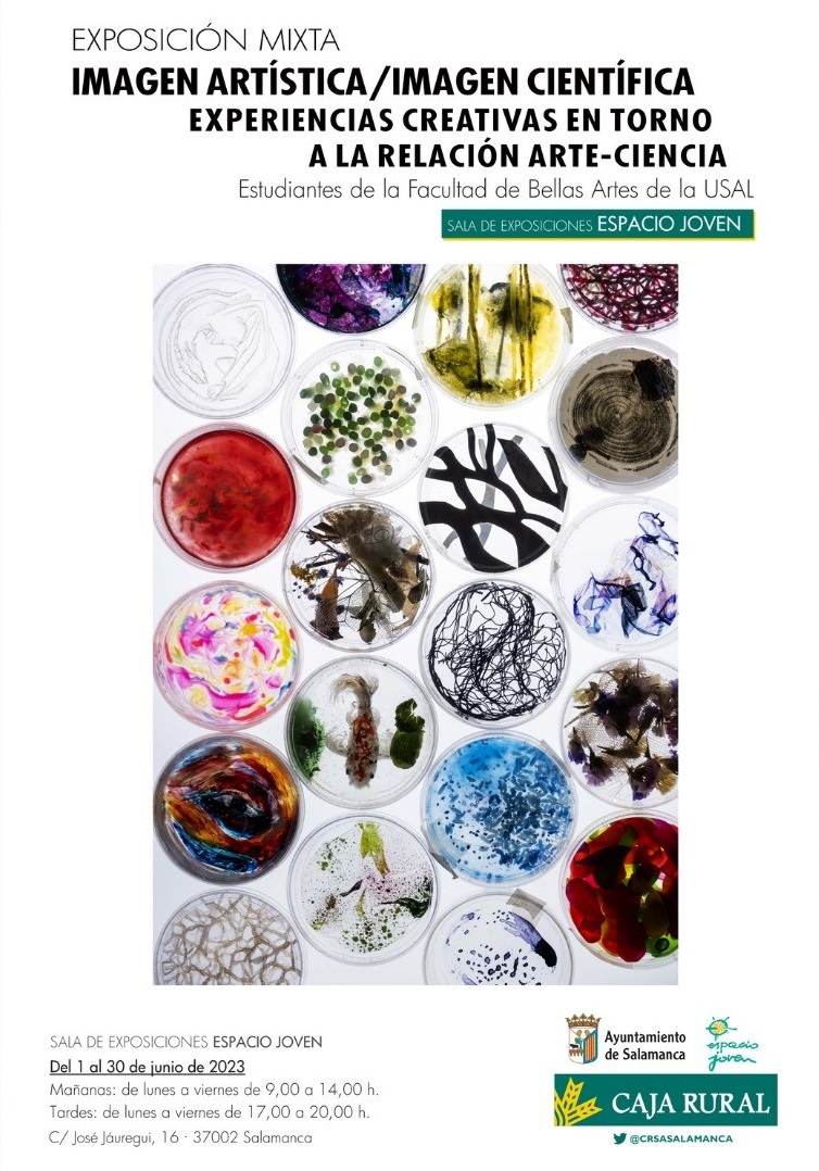 Alumnos de la Facultad de Bellas Artes de la USAL participan en la ...